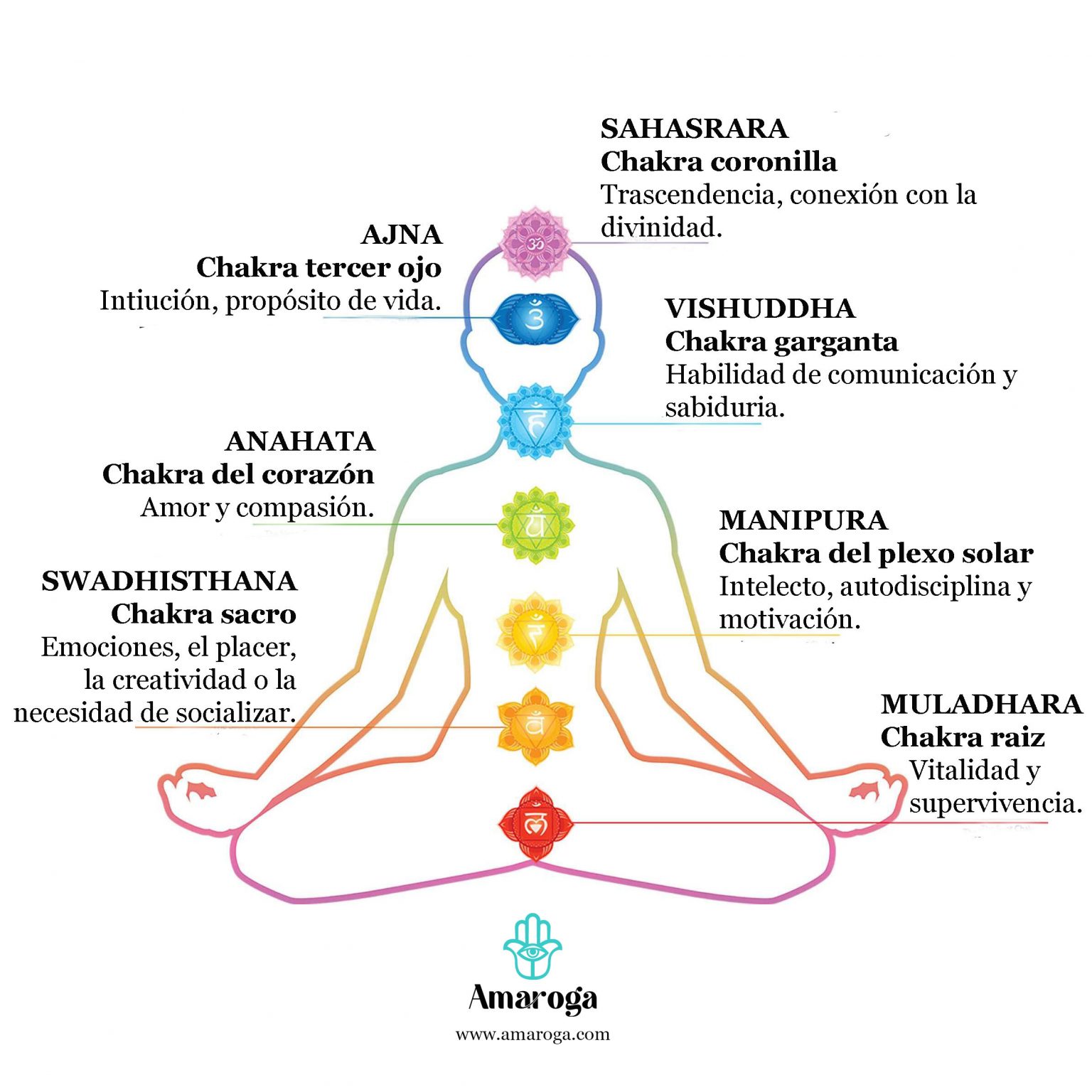 Armonizador siete chakras • Amaroga
